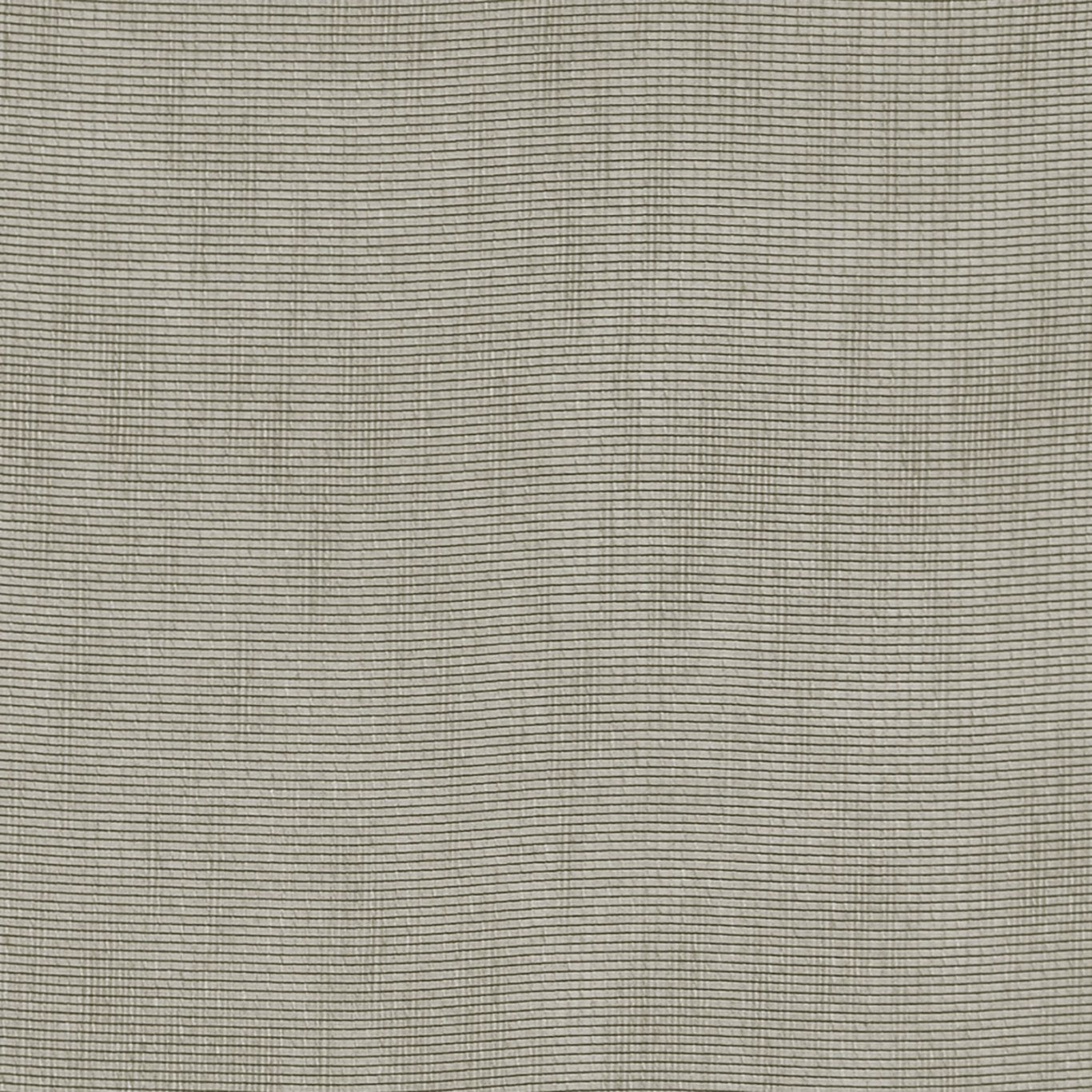 Maddox | Clarke & Clarke Fabric | Studio 198 London