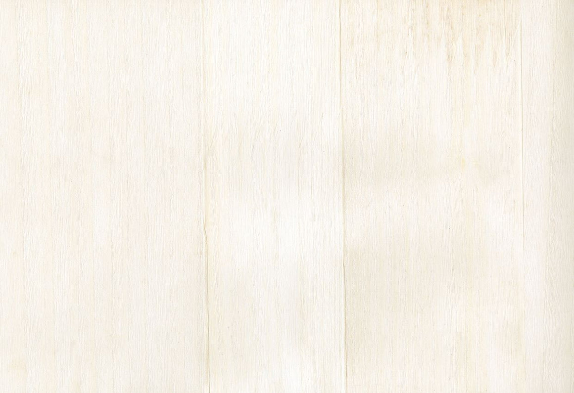 Birch Wc | Texture Wallcovering | Studio 198 London